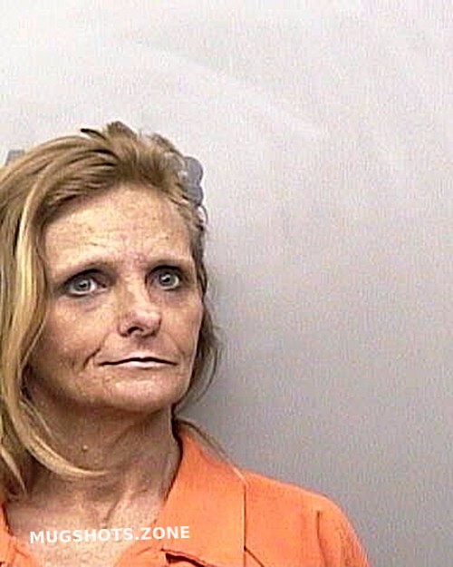 MCMILLAN TINA MARIE 02/18/2023 - Taylor County Mugshots Zone
