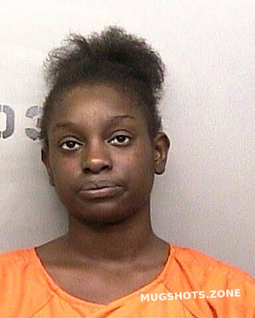 MANNING DAGEONNA LABRISHA 04/04/2023 - Taylor County Mugshots Zone