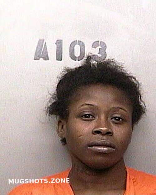 Palmer Briana Simone 04 06 2023 Taylor County Mugshots Zone