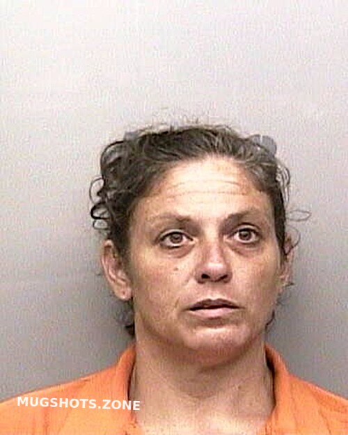 TURNER LISA ANN 09/02/2023 - Taylor County Mugshots Zone