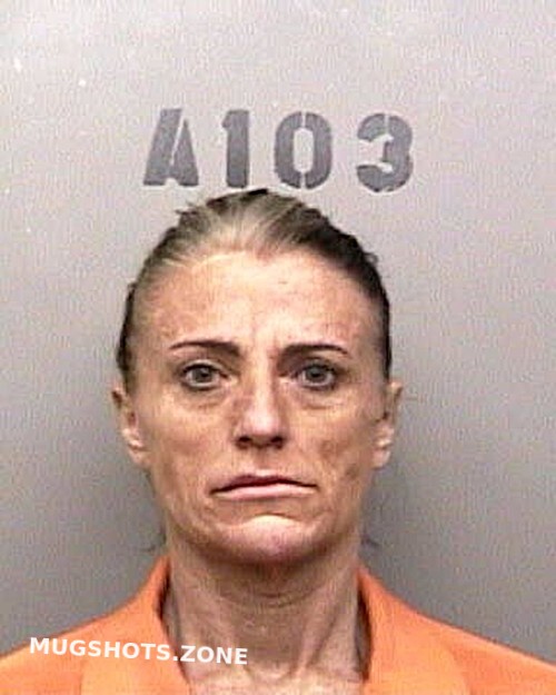 PERRYMAN JERI LYNN 11/14/2023 - Taylor County Mugshots Zone