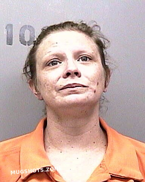 ADKINS TRACEY MARIE 11/16/2023 - Taylor County Mugshots Zone