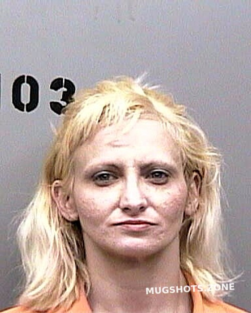 HOLDEN CHELSEA A 11/20/2023 - Taylor County Mugshots Zone