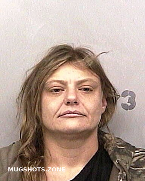 WOODS SUSAN CLAUDELL 05/07/2024 - Taylor County Mugshots Zone