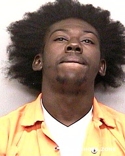 WHITE DANTE RASHAD 06/18/2024 - Taylor County Mugshots Zone