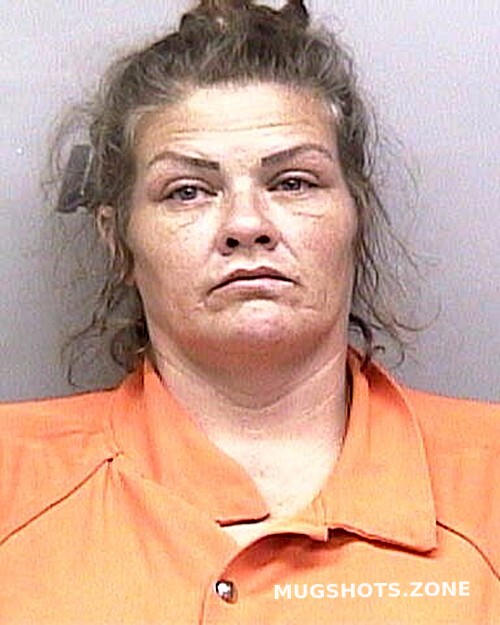 RIDGEWAY SARA BROOKE 06/26/2024 - Taylor County Mugshots Zone