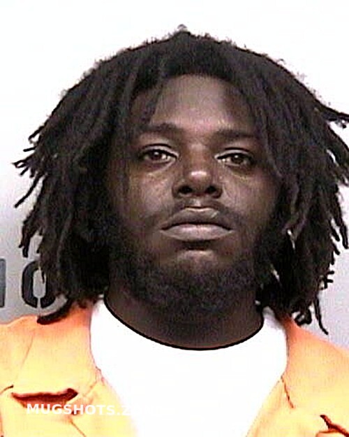 WILLIAMS JAMIE LEE 07/15/2024 - Taylor County Mugshots Zone