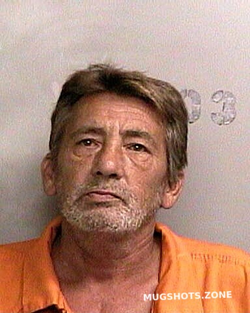 TAMONE DONALD J 10/13/2024 - Taylor County Mugshots Zone