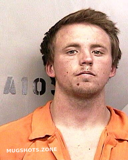 WILLIS LANDON SHANE 01/02/2025 - Taylor County Mugshots Zone