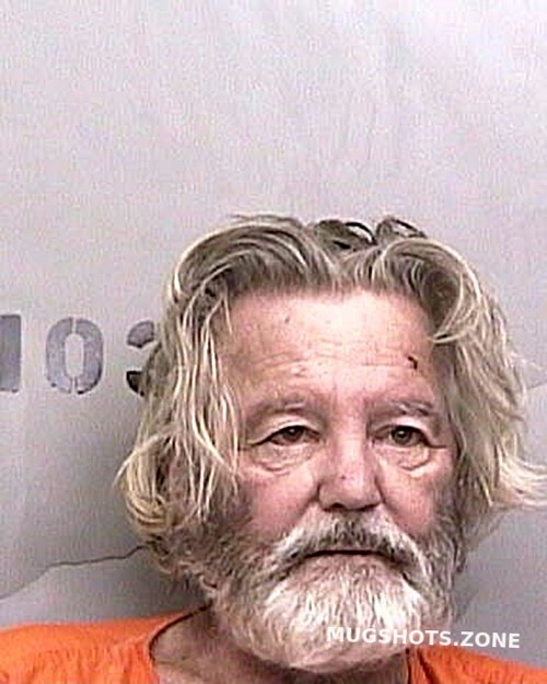 GREGORY DAVID LEE 01/23/2025 - Taylor County Mugshots Zone