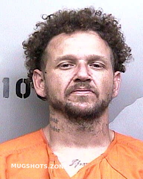 COLLINS RAYMOND JOHN 02/05/2025 - Taylor County Mugshots Zone