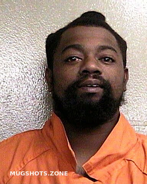 FREEMAN JACQUES RENARD 02/23/2025 - Taylor County Mugshots Zone