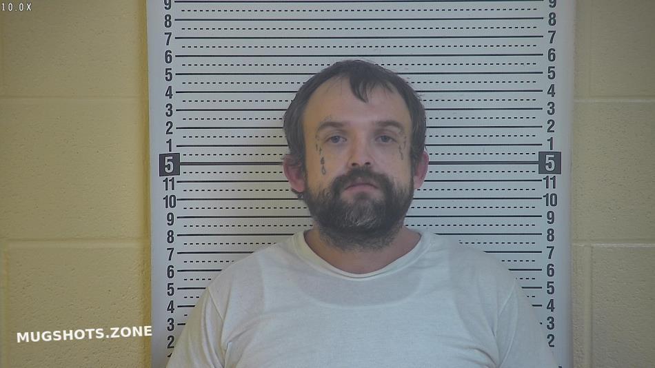MEREDITH MICHAEL 01/15/2021 - Taylor County Mugshots Zone