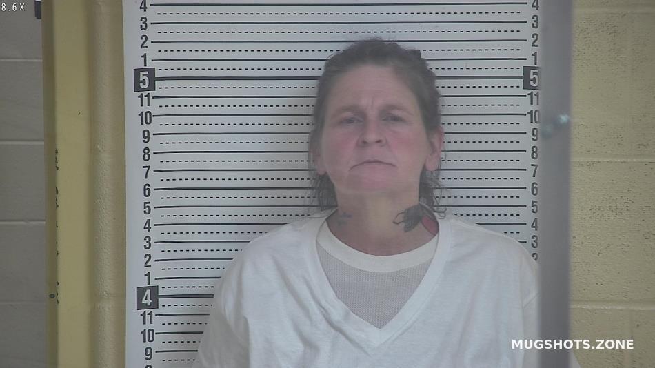 WILLETT TONYA 10/14/2022 - Taylor County Mugshots Zone