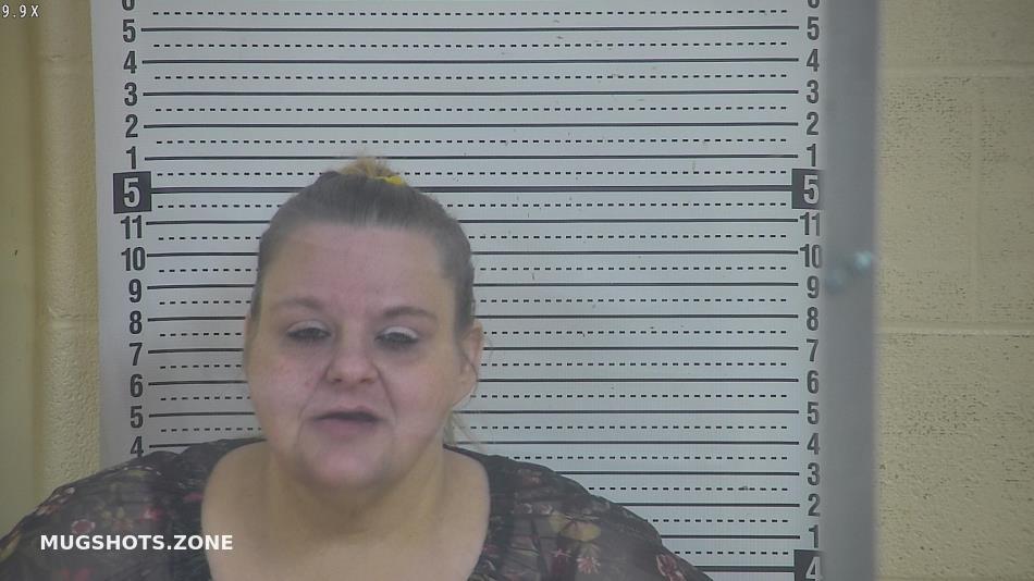 SANDLIN MELISSA K. 11/10/2022 - Taylor County Mugshots Zone