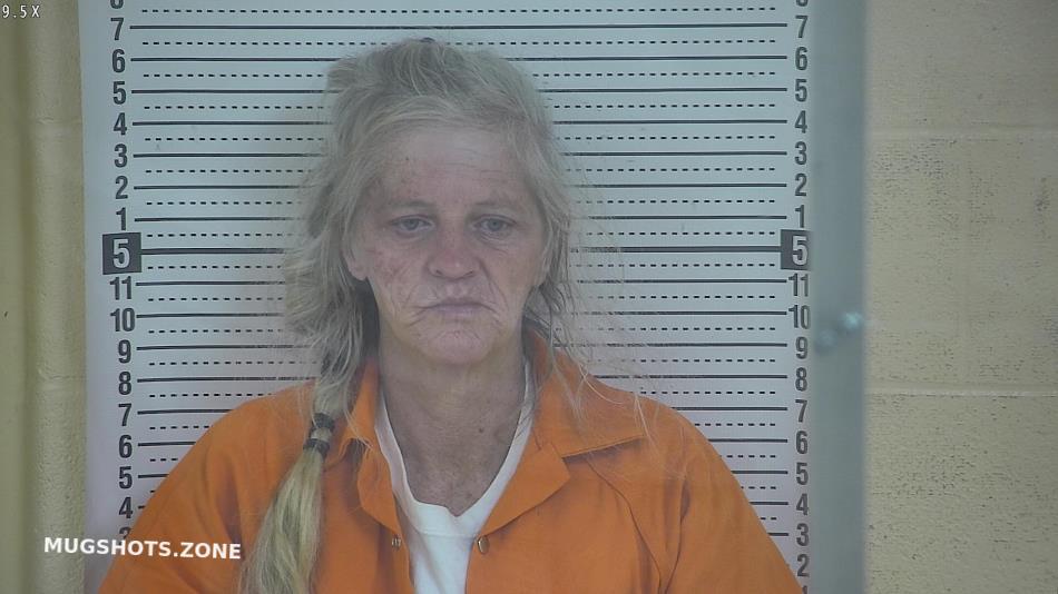 TUNGATE CONNIE FRANCES 01/17/2023 - Taylor County Mugshots Zone