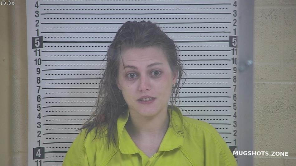 Shofner Christin E 02 03 2023 Taylor County Mugshots Zone