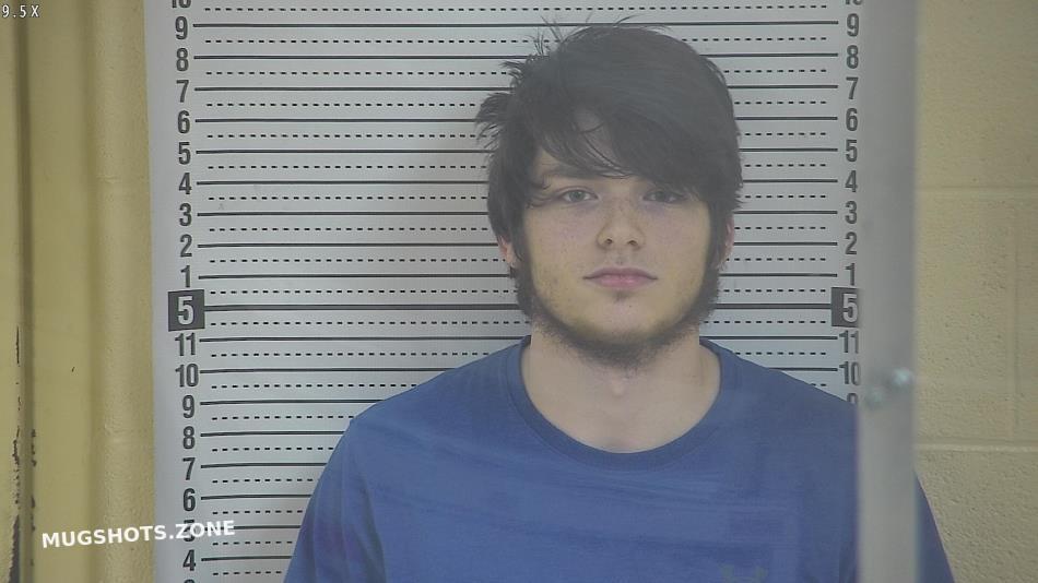 HANLON NATHAN BRYCE 02/20/2023 - Taylor County Mugshots Zone