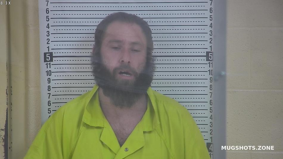 HICKS BRANDON M 11/10/2023 - Taylor County Mugshots Zone
