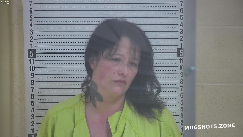 VAUGHN CHRISTY FAY 01/30/2024 - Taylor County Mugshots Zone