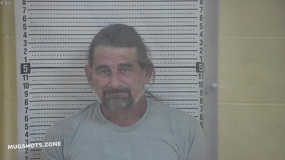 SALLEE CARL SCOTT 02/02/2024 - Taylor County Mugshots Zone