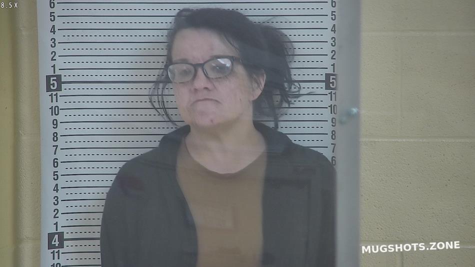 GOFORTH MICHELLE 02/22/2024 - Taylor County Mugshots Zone