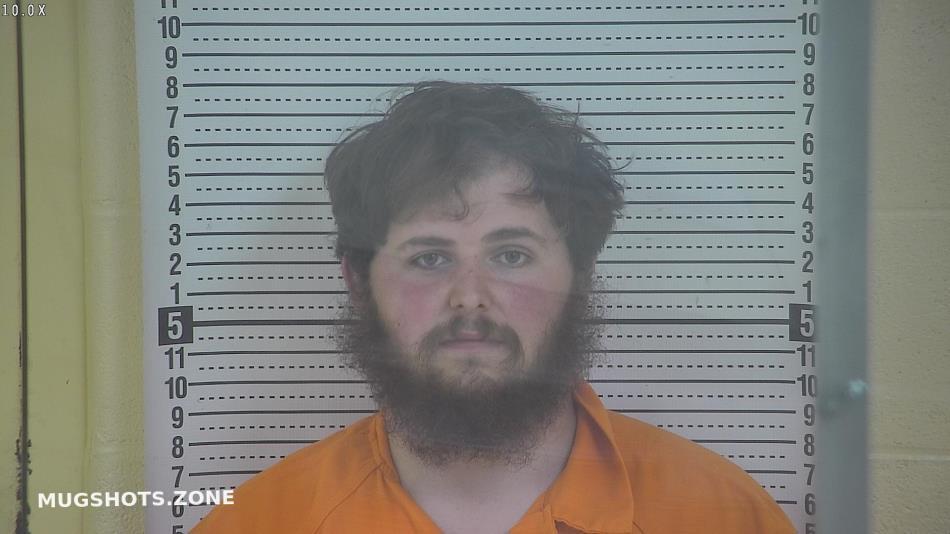 ALSIP AARON RAY 06/16/2024 - Taylor County Mugshots Zone