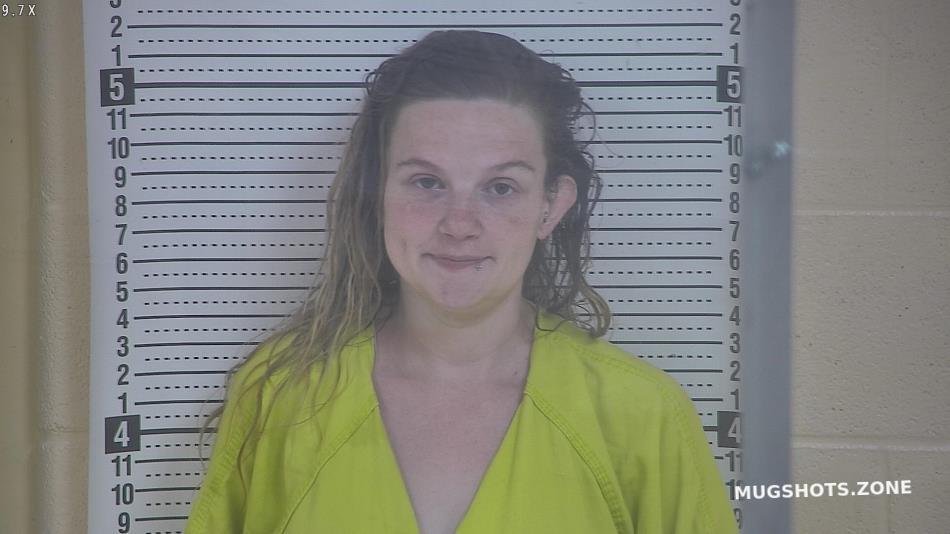 HOLLINS CASSANDRA 06/21/2024 - Taylor County Mugshots Zone