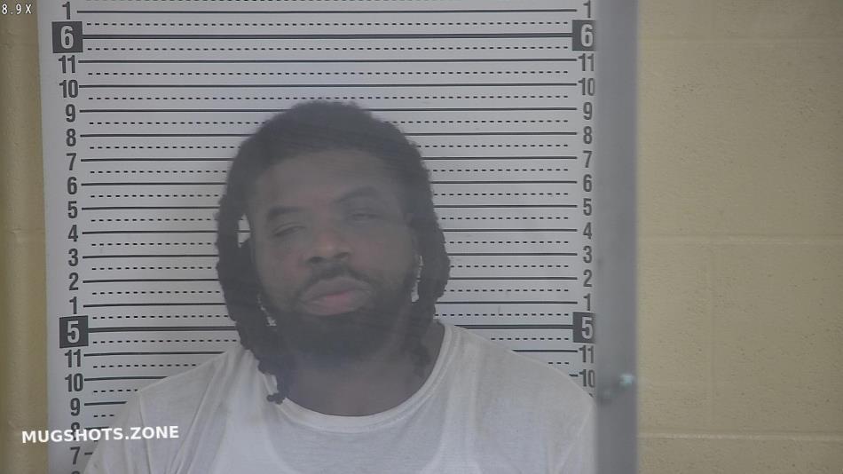 HASTY JERELL DEMETRIOS 06/27/2024 - Taylor County Mugshots Zone