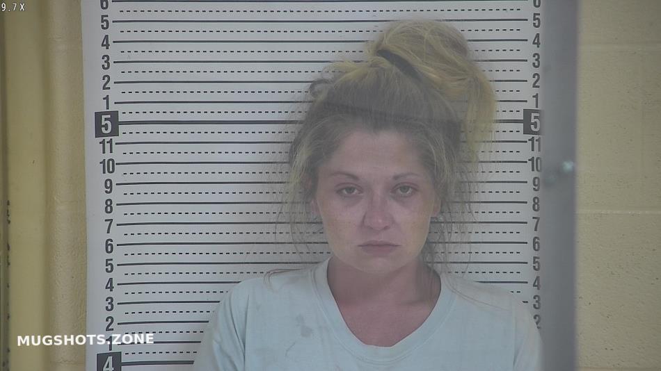 WATSON AMY SUE 06/28/2024 - Taylor County Mugshots Zone