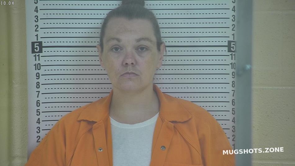 HICKS JENNIFER LYNN 07/08/2024 - Taylor County Mugshots Zone