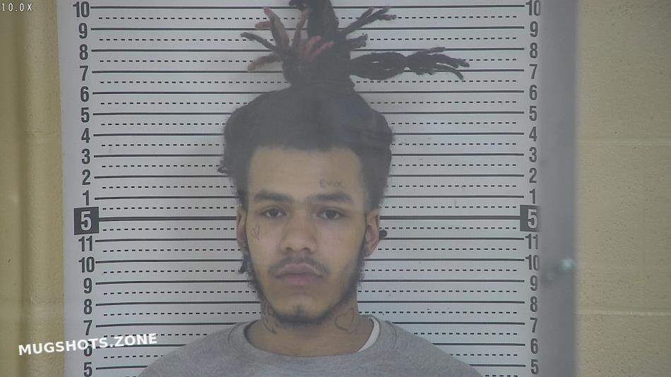 DENNIS JALIN 07/22/2024 - Taylor County Mugshots Zone