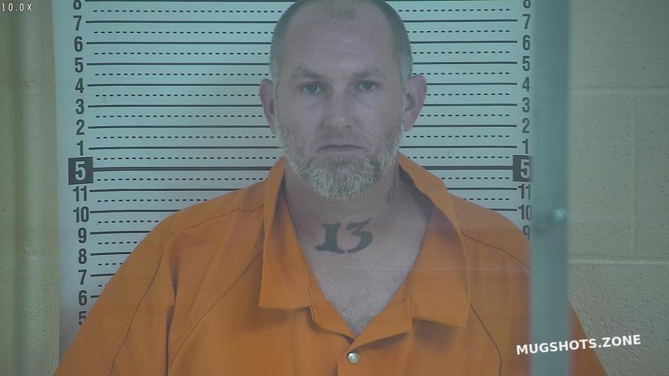 REECE JOSHUA 08/08/2024 - Taylor County Mugshots Zone