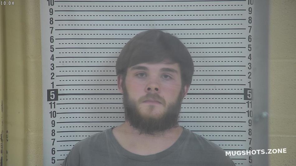 SALLEE LEVI KINCAID 09/10/2024 - Taylor County Mugshots Zone