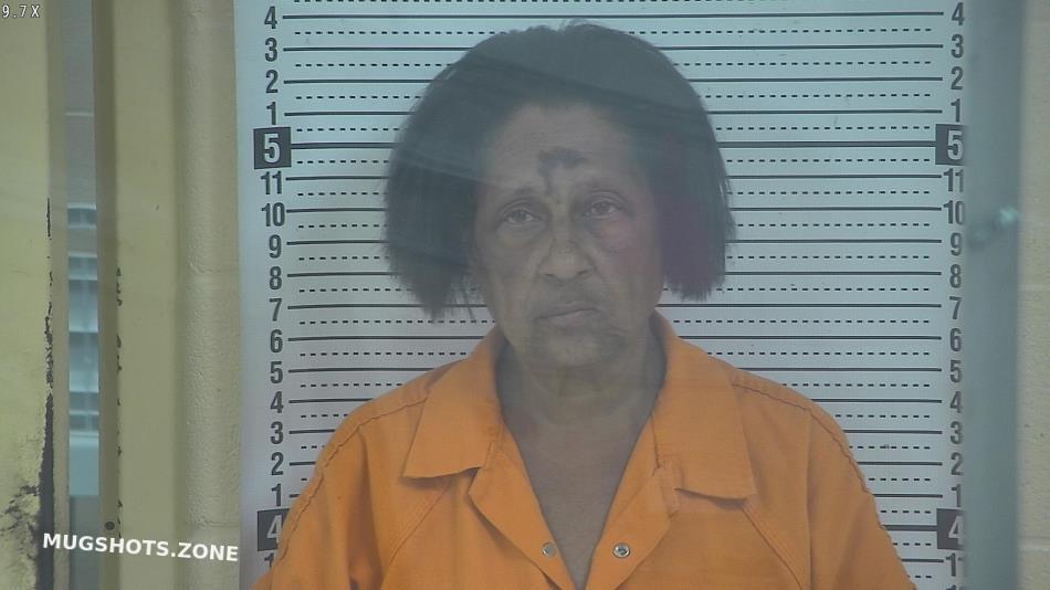 COBB GRETCHEN G 09/12/2024 - Taylor County Mugshots Zone