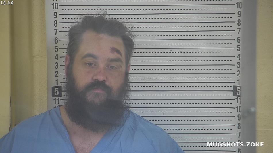 HAYCRAFT BRANDON WAYNE 09/14/2024 - Taylor County Mugshots Zone