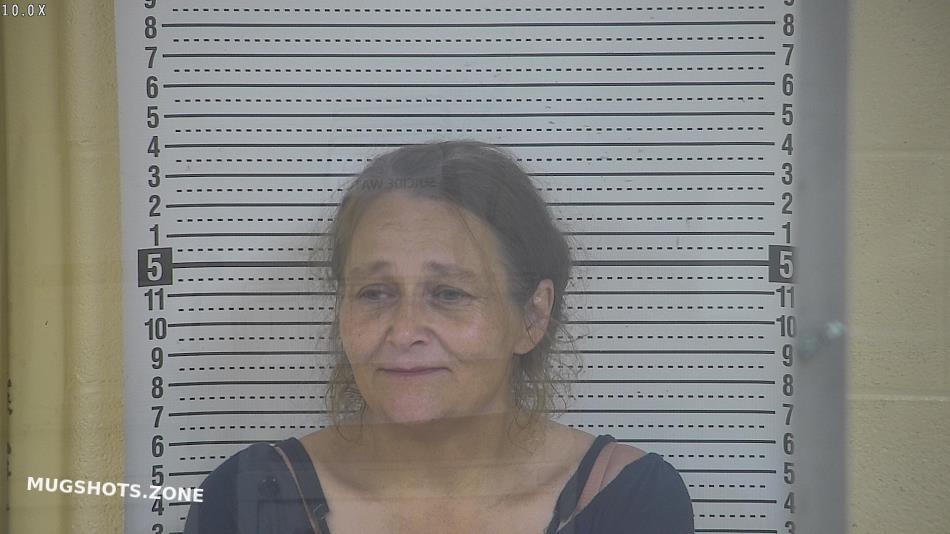 HENDERSON STACY 09/23/2024 - Taylor County Mugshots Zone