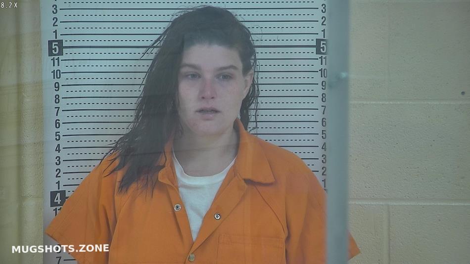 BOTTOM BRIANNE 11/27/2024 - Taylor County Mugshots Zone
