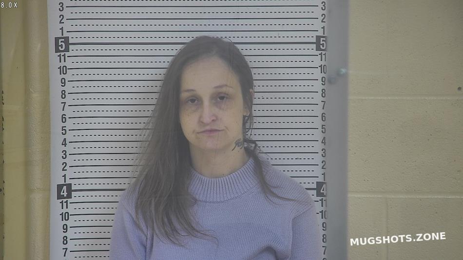 YOCOM TRACY MICHELLE 12/27/2024 - Taylor County Mugshots Zone