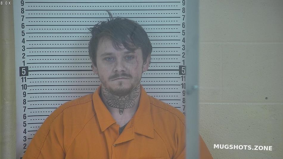 BROWN MATTHEW TYLER 01/04/2025 - Taylor County Mugshots Zone