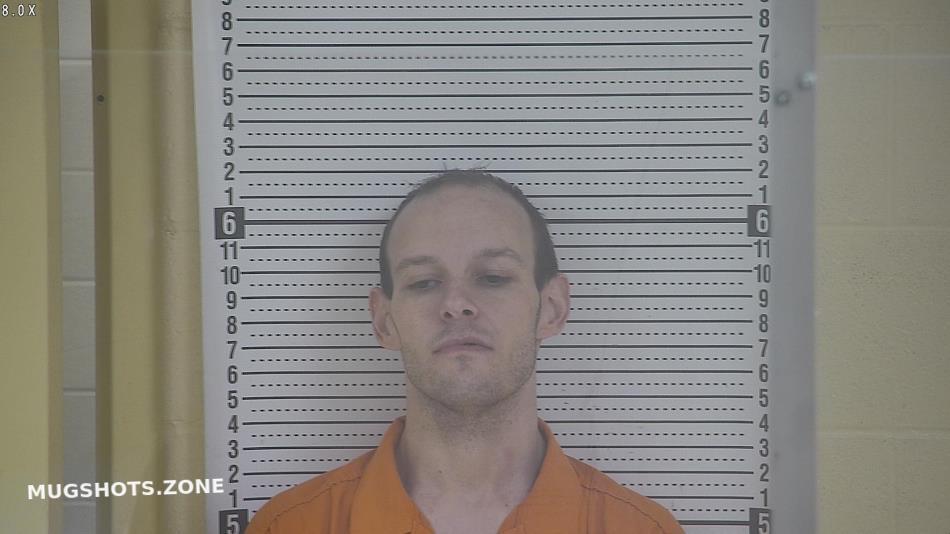 HUDGINS NICHOLAS CHANCE 01/07/2025 - Taylor County Mugshots Zone