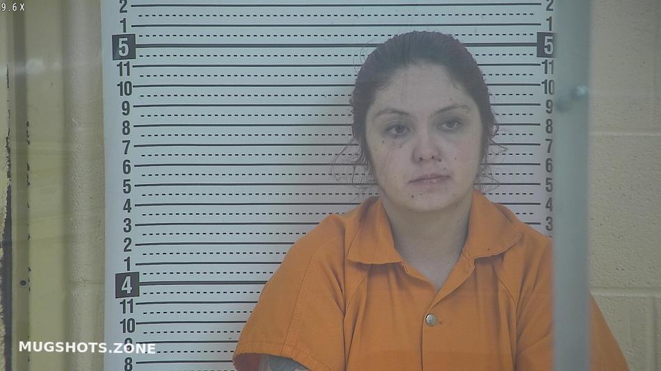 MORGAN LONI D 01/24/2025 - Taylor County Mugshots Zone