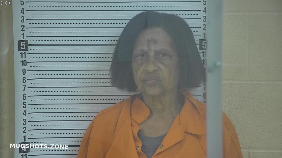 COBB GRETCHEN G 02/04/2025 - Taylor County Mugshots Zone