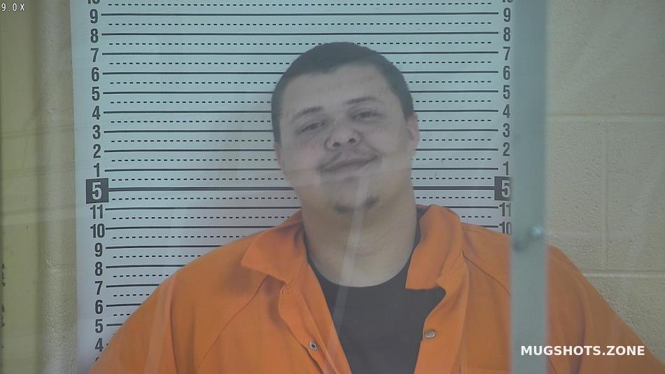 SEHLINGER NICHOLAS BRYAN 03/22/2025 - Taylor County Mugshots Zone