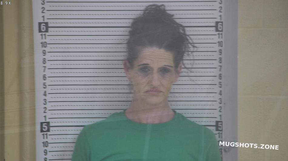 DOTSON CAROL LYNN 04/16/2025 - Taylor County Mugshots Zone