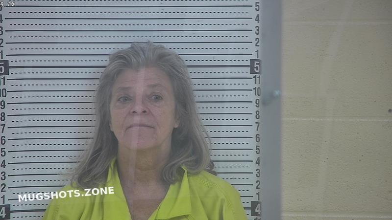 CLEMENTS DONNA 05/10/2025 - Taylor County Mugshots Zone