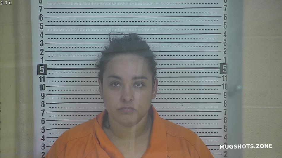 HENDREN JENNIFER R 06/04/2025 - Taylor County Mugshots Zone