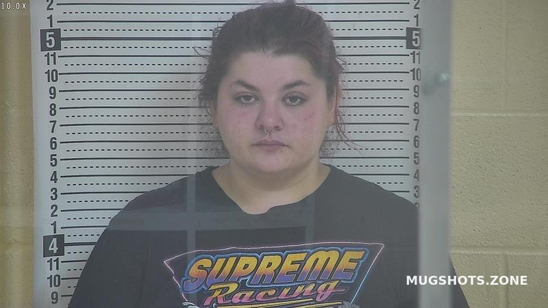 MILLER BRANDY MICHELLE 07/28/2025 - Taylor County Mugshots Zone