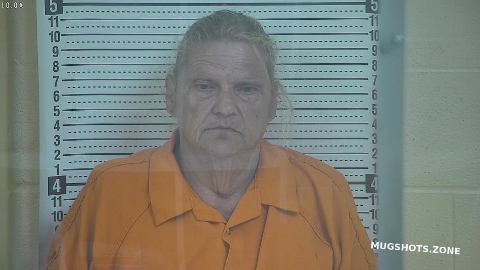 WRIGHT SUSAN M 07/31/2025 - Taylor County Mugshots Zone
