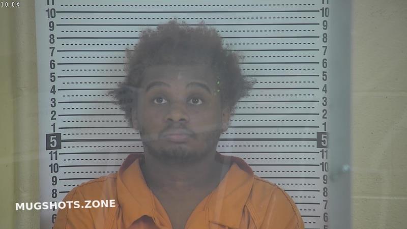 WILSON ANTHONY TYRIK 12/15/2025 - Taylor County Mugshots Zone